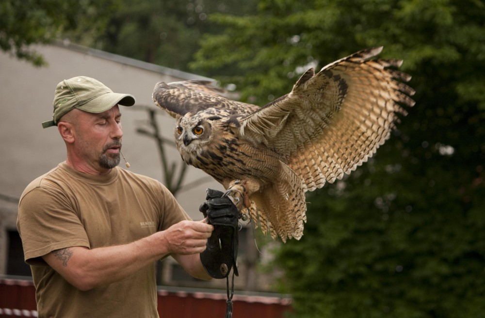 Liberecká zoo láká návštěvníky na ukázky sokolnictví. První je ...