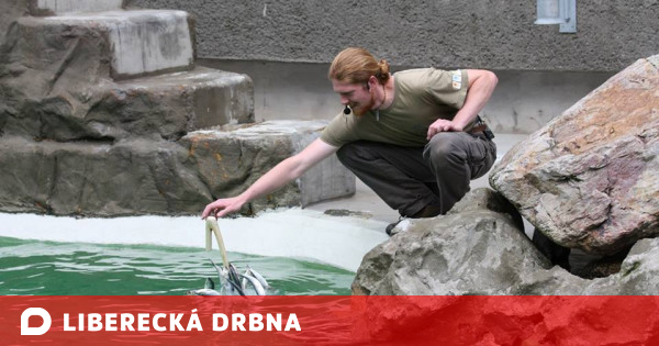Liberecká zoo chce vodu využívat opakovaně, spotřeba je velká