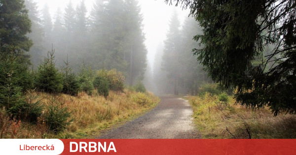 Tento týden bude chladný. O babí léto nepřijdeme, oteplí se ke konci měsíce