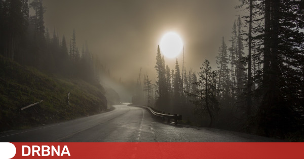 ANKETA: Spousta řidičů zmatkuje a zbytečně zapíná mlhovky