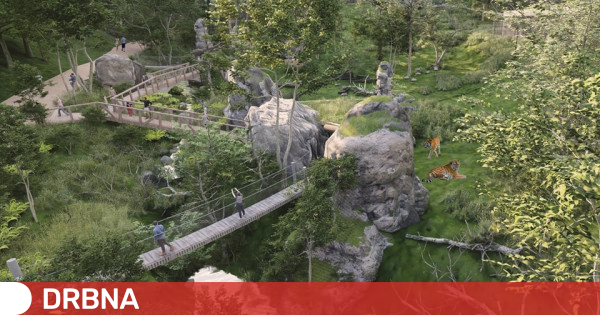 Liberecká zoo bude jednou tak velká, v okolí amfiteátru vyroste nová ...