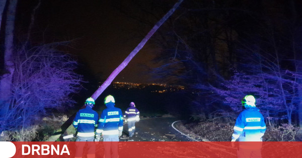 Hasiče v kraji potrápil v noci vítr a sníh, nejčastěji řešili větve a stromy popadané na silnice