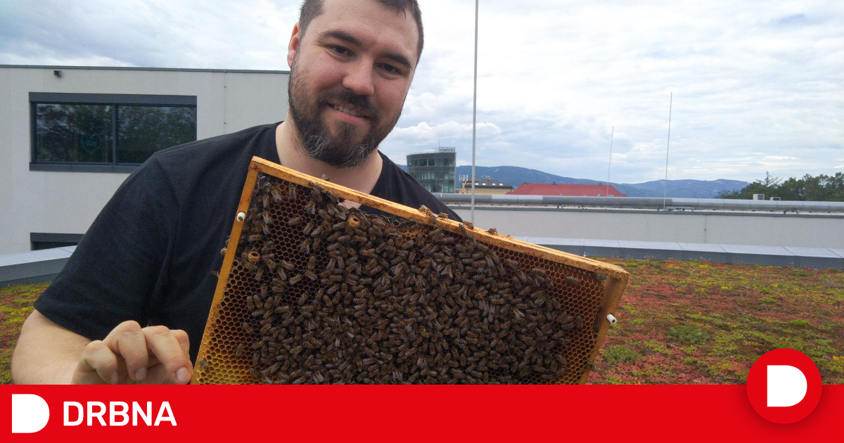 V kampusu liberecké univerzity vyroste naprostý unikát - originální ...