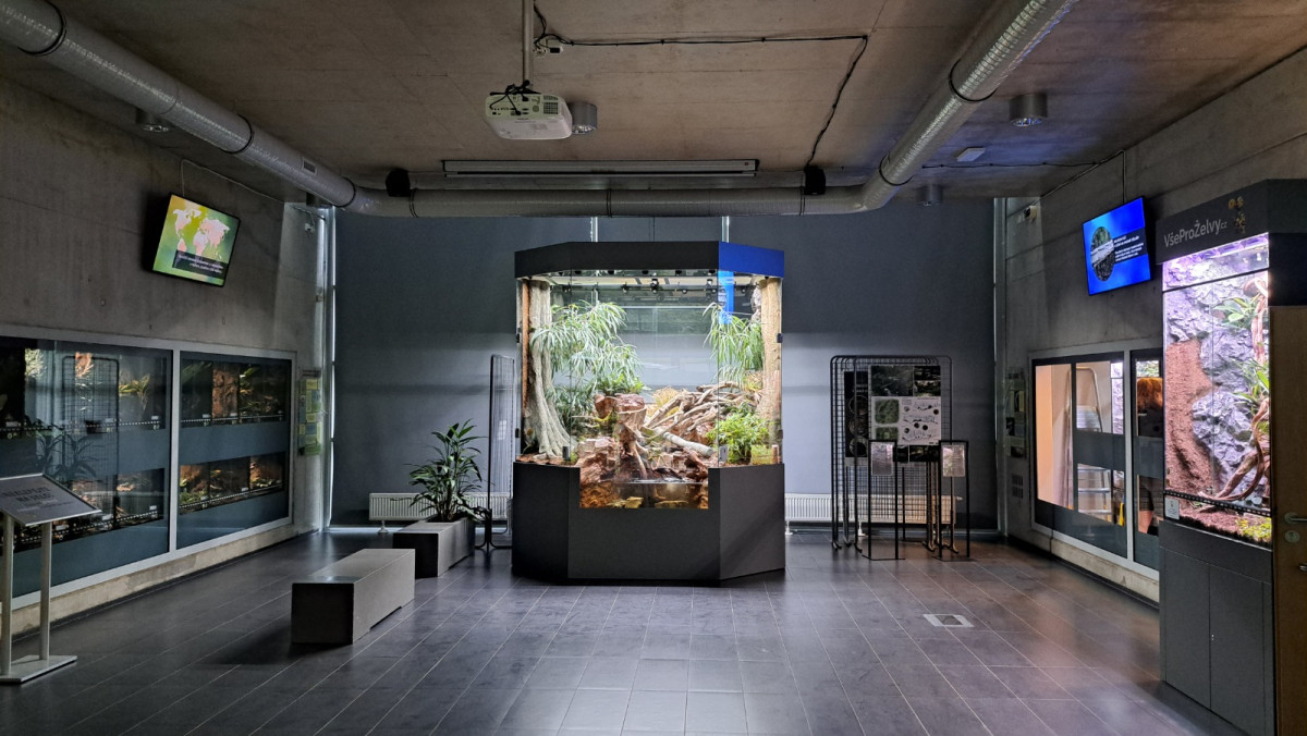 Liberecká zoo chystá novou expozici vzácného a kriticky ohroženého ...