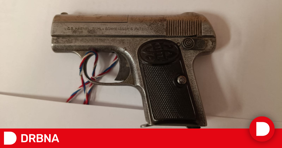 Zbraňová amnestie v lednu. Lidé odevzdali 38 zbraní, většina byla ...