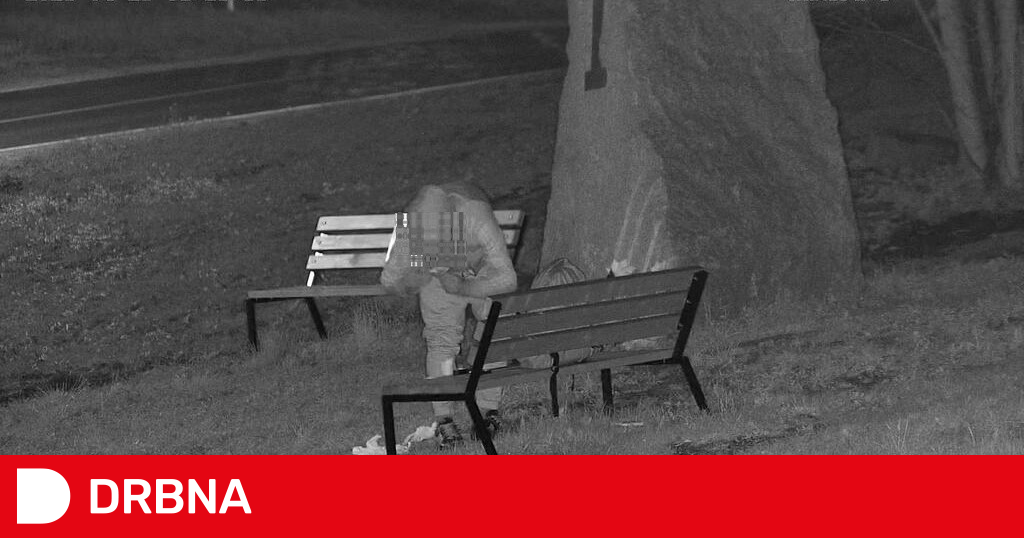 Památník v Liberci si spletl s odpadkovým košem. Muže zachytila kamera ...