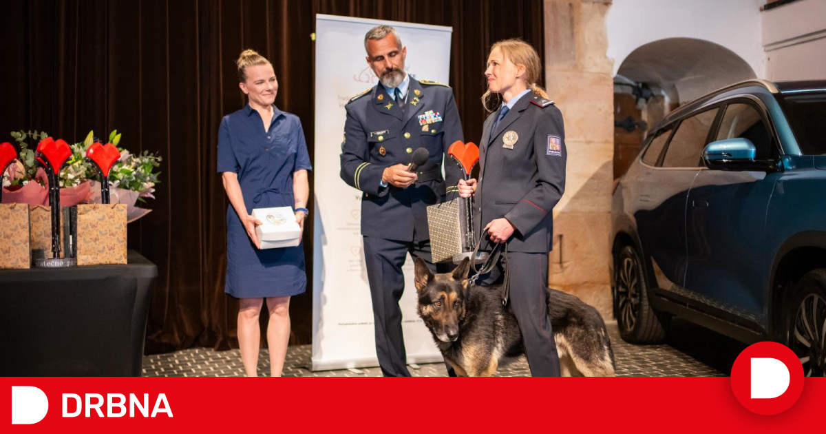 Je to oficiální: má Statečné psí srdce. Psí policejní hrdina z Liberce ...